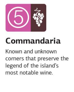 Cyprus Wine Routes – Atlantis Gardens, Larnaca Cyprus, Beachfront Holidays